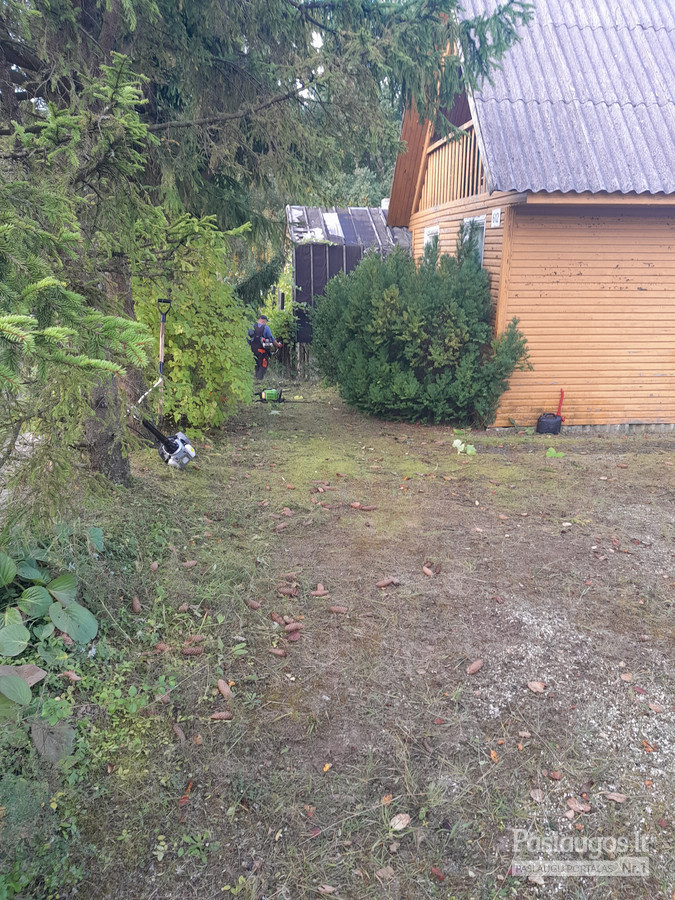 MB EMG Forest Kaunas Medžių pjovimas, krūmų ir žolės pjovimas Darbų pavyzdžių galerija ID 2394903