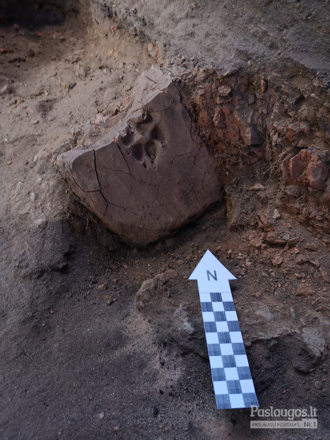 Archeologiniai tyrimai pietų Lietuvoje - Varėnos r. / Archeologas ...