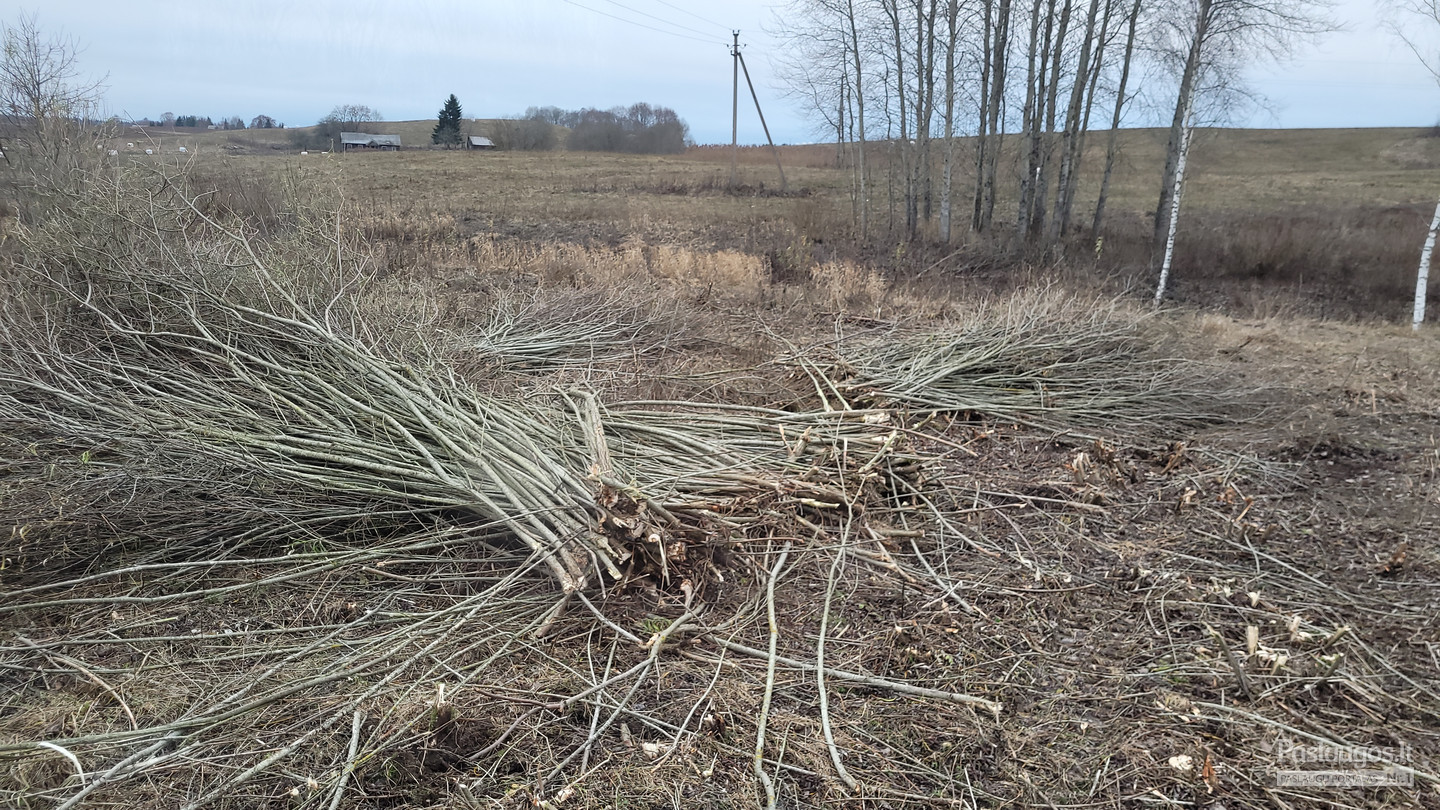 MB Utenos Ekskavatoriai Utenos rajonas Ekskavatoriaus nuoma, Mini ...