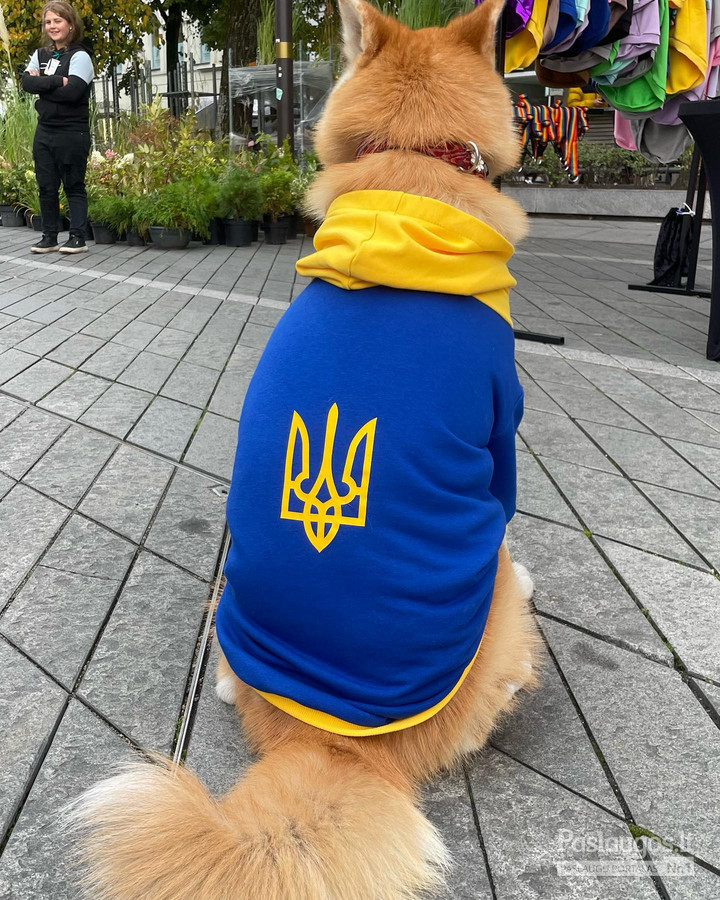 Greita Spauda ir Siuvinėjimas ant Marškinėlių, Džemperių + - Kaunas ...