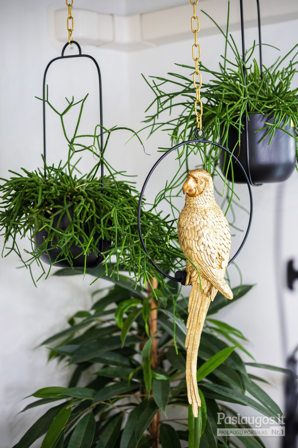 Terija Vilnius Interjero dizaino, statybos, remonto paslaugos ...