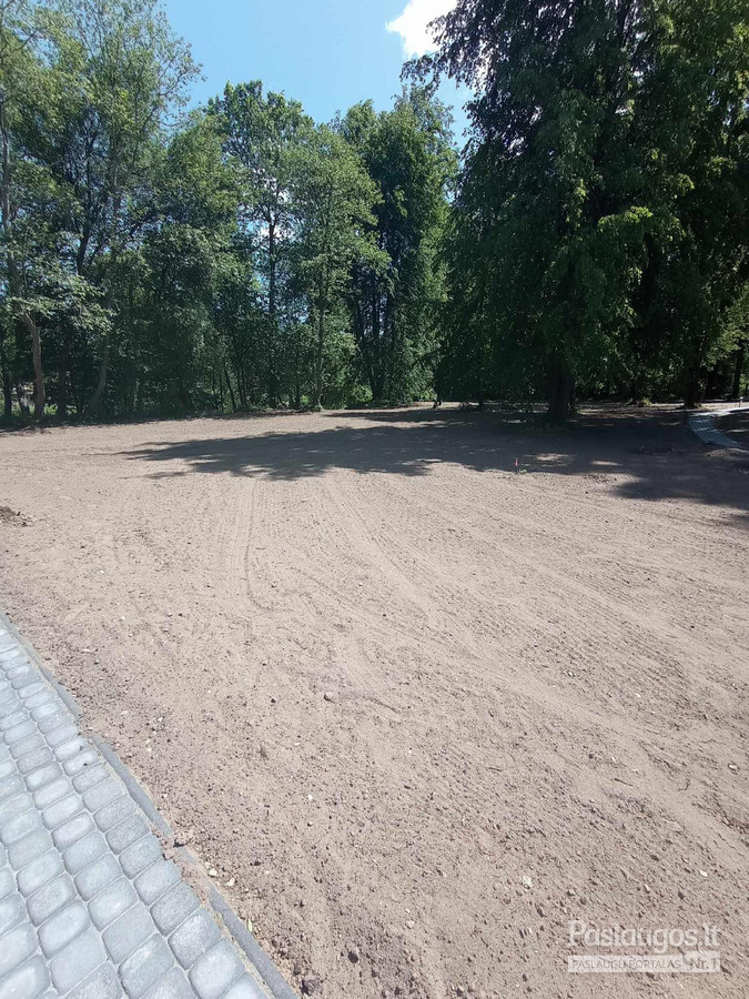 Edvardas Venckunas Vilnius Vėjų apželdimas pagal jūsų pageidavimus, bei ...