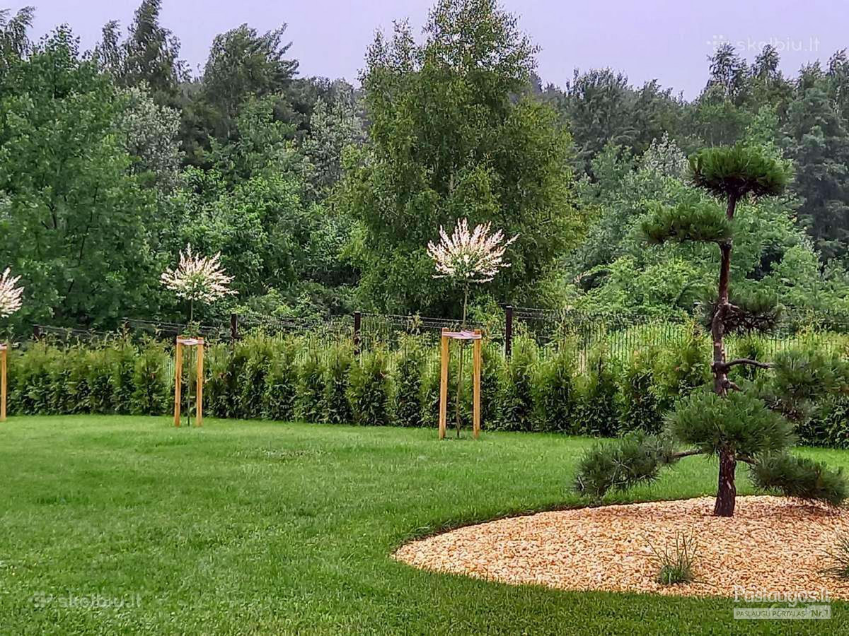 Sklypo apželdinimas! Konsultacijos, landšafto projektai - Vilnius ...
