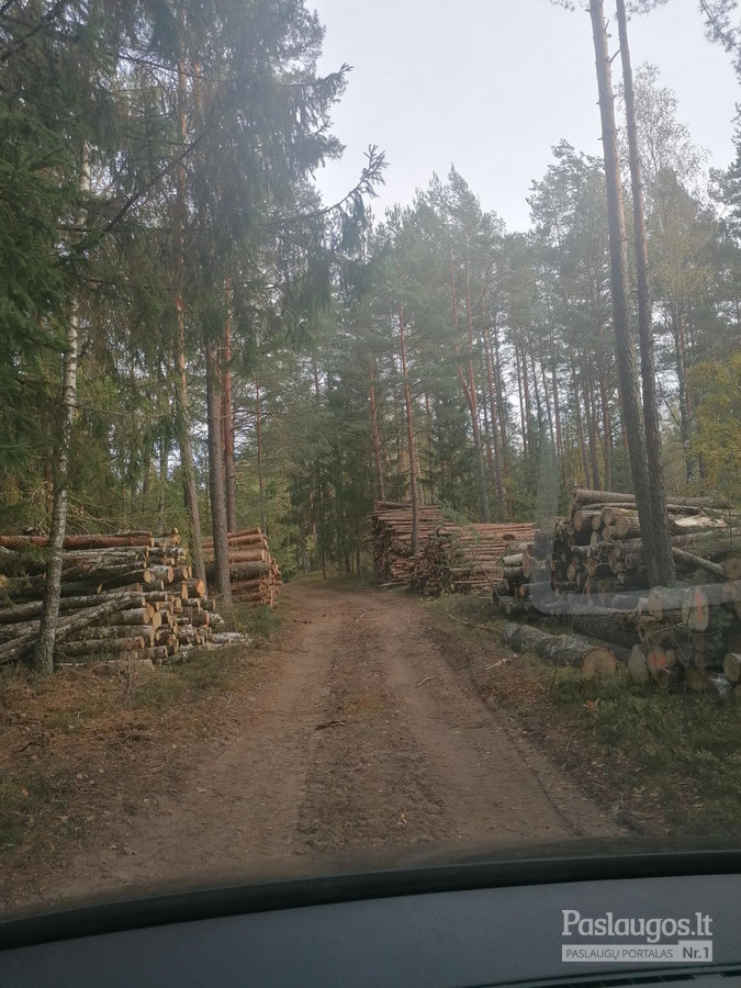 Tvarkome vejovartas, pjauname miškus - Kauno r. / Malkos žiemai ...