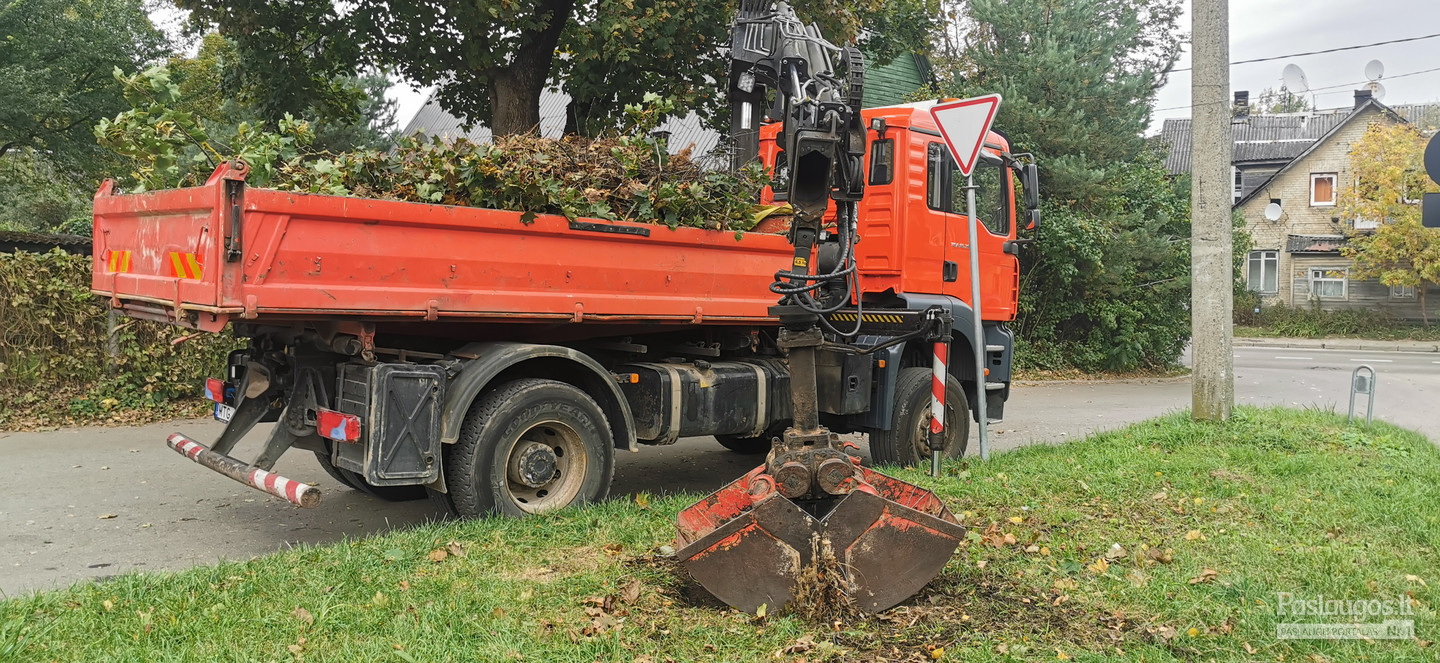 Juodzemis, zvyras, smelis, skalda, fiskaras-greiferis. - Vilnius / MB ...