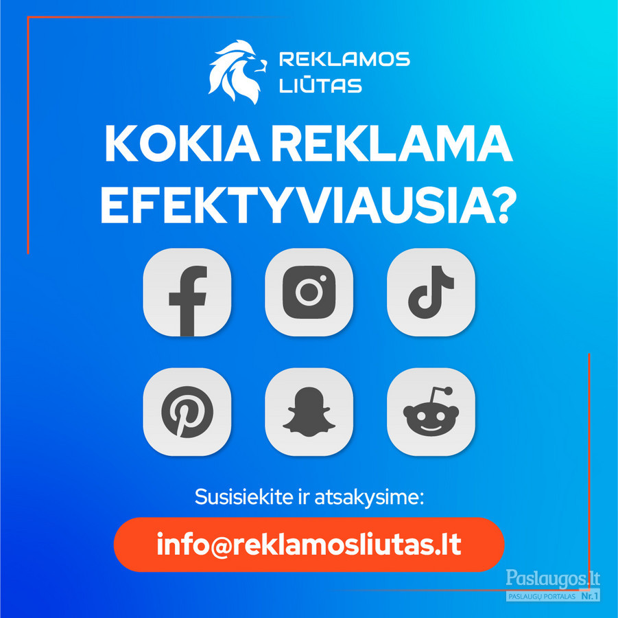Reklamos Liūtas Vilnius Facebook + Instagram reklama / Google Ads ...