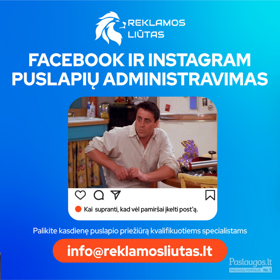 Reklamos Liūtas Vilnius Facebook + Instagram reklama / Google Ads ...