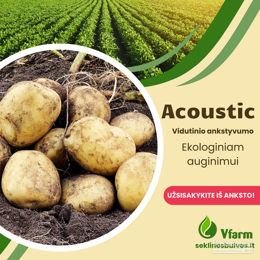 Verba Perfecta Vilnius Socialinių tinklų administravimas ir komunikacija Darbų pavyzdžių ...