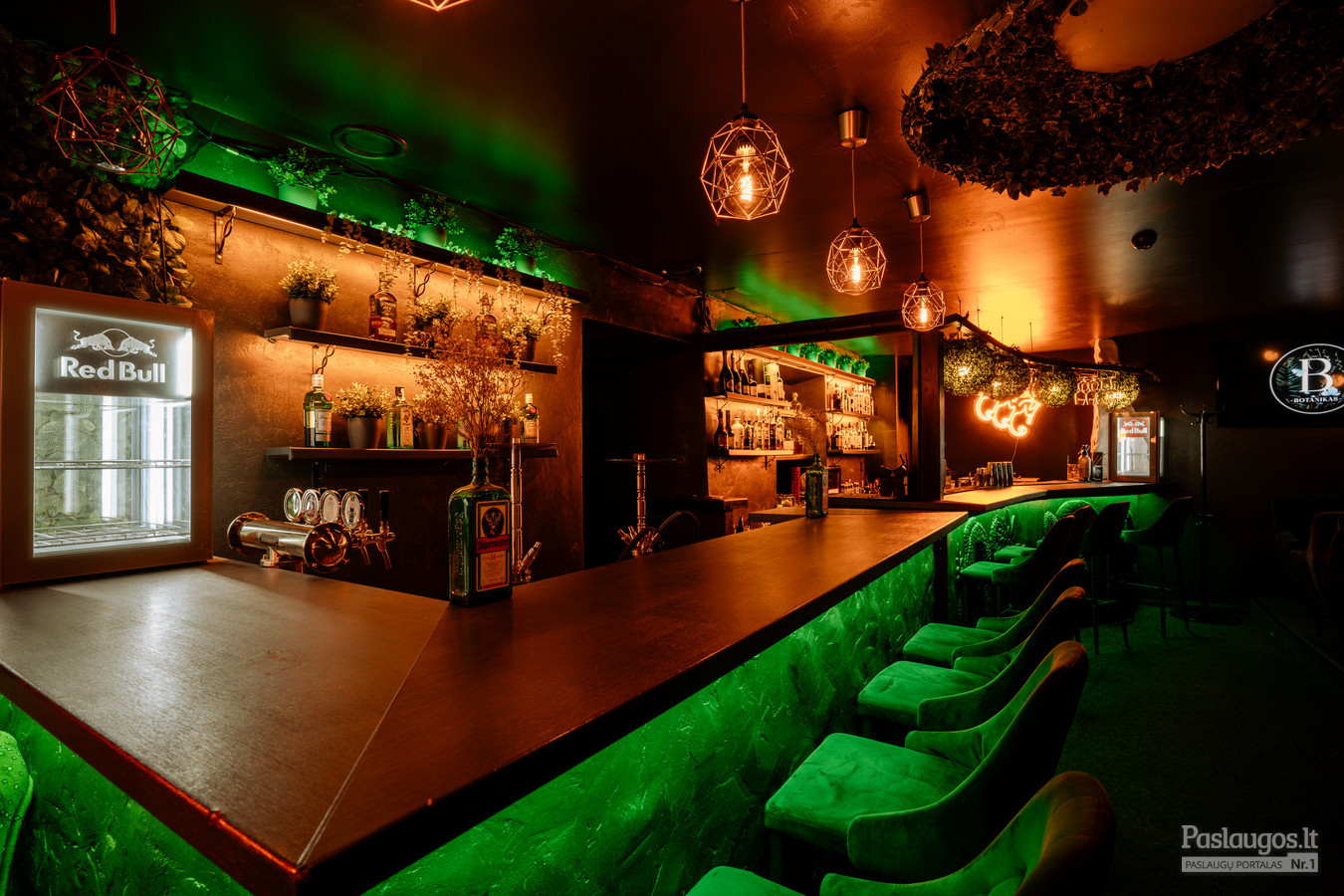 BOTANIKAS Vilnius Baro nuoma Vilniaus senamiesčio širdyje ! Darbų pavyzdžių galerija ID 3331967