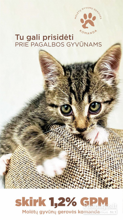 Sandra Kaunas Logotipo/firminio stiliaus kūrimas. Lauko reklama Darbų ...