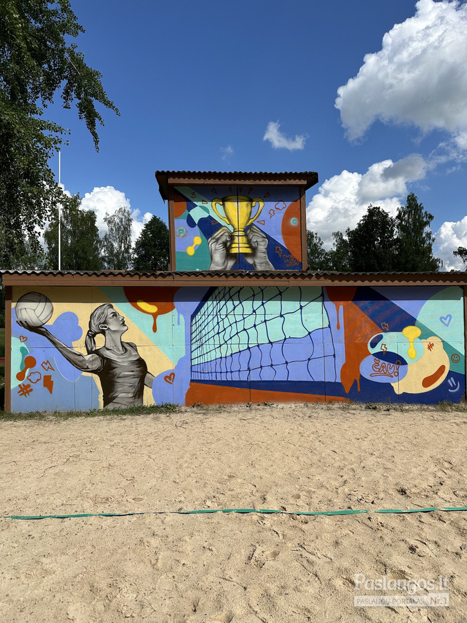 Rinalds Vanadzins Vilnius Graffiti, street art, mural art. Darbų ...