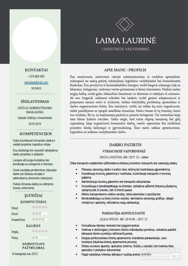 Andrius A Vilnius Cv ir motyvacinių laiškų rašymas Darbų pavyzdžių ...