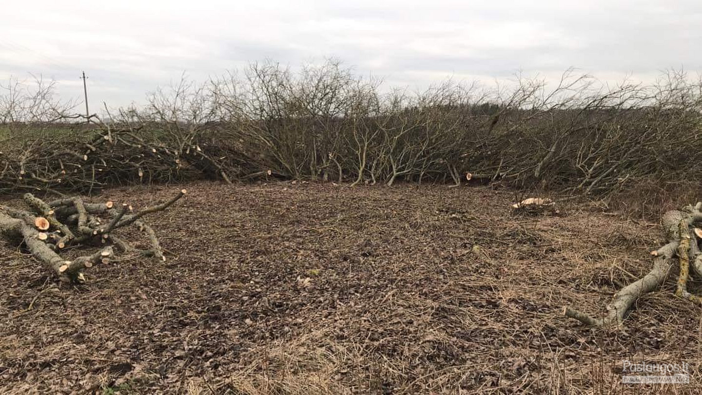 Tvarkome apleistus plotus, bei frezuojame kelmus. - Kelmės r. / Tadas ...