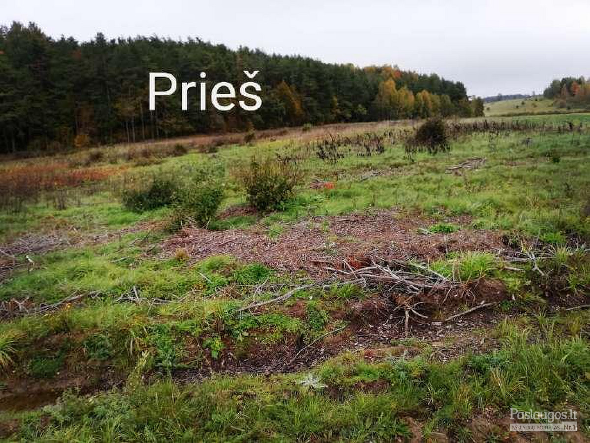 Tvarkome apleistus plotus, bei frezuojame kelmus. - Kelmės r. / Tadas ...