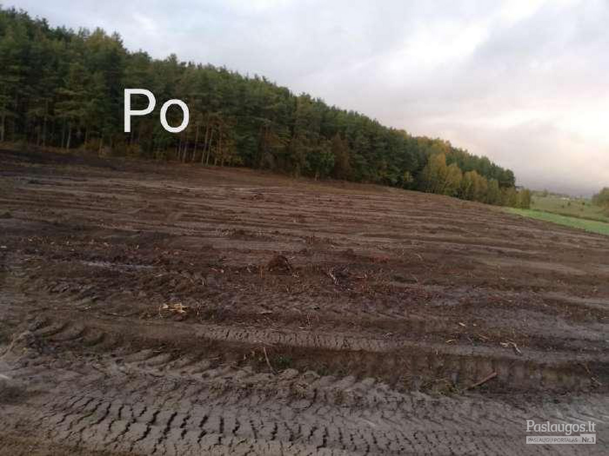 Tvarkome apleistus plotus, bei frezuojame kelmus. - Kelmės r. / Tadas ...