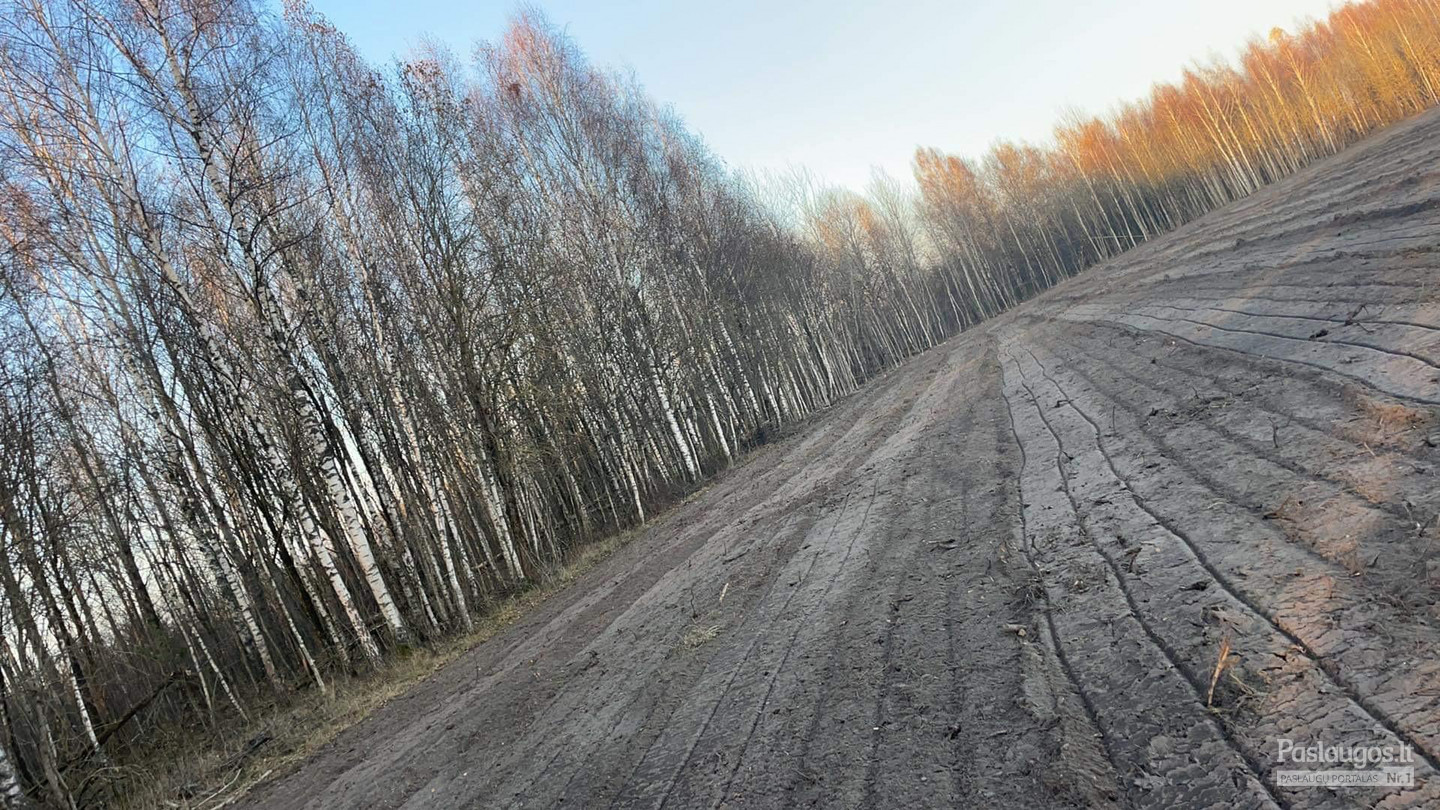 Tvarkome apleistus plotus, bei frezuojame kelmus. - Kelmės r. / Tadas ...