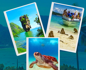 44 KOMUNIKACIJOS SPECIALISTAI: kainos 2024 m. - Paslaugos.lt