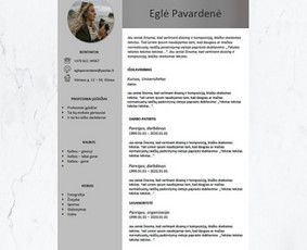 CV RAŠYMAS SU KONSULTACIJA: 2021 m. kainos