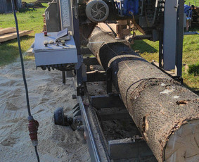 2 MOBILŪS GATERIAI | MEDIENOS PJOVIMAS: 2021 m. kainos