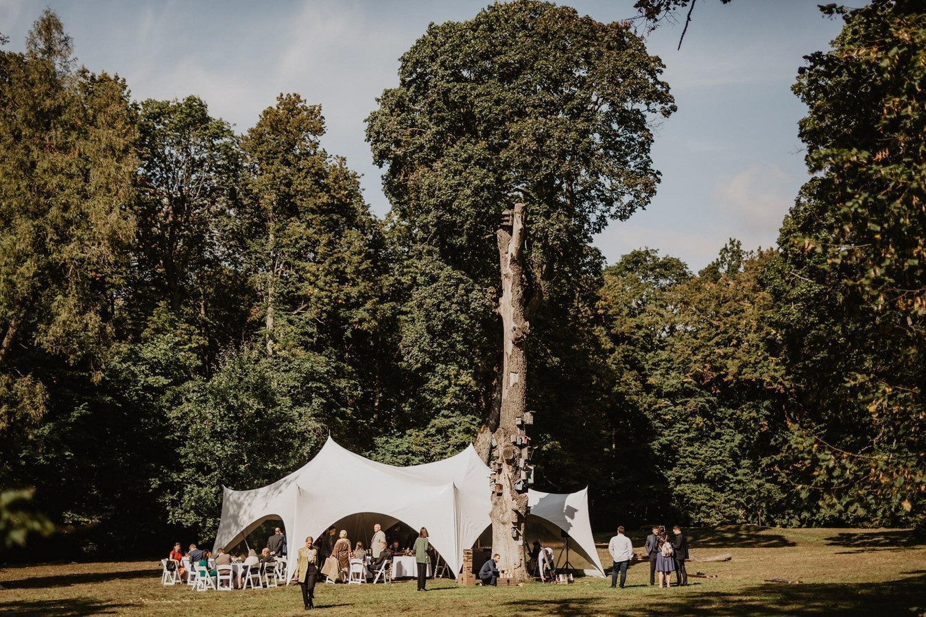 Darbų pavyzdžių galerija / Renginio Partneris / ID 2031878 - Paslaugos ...