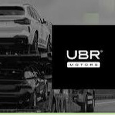 Automobiliai iš Aukcionų - Vilnius / UBR Motors - Paslaugos.lt portalas ...